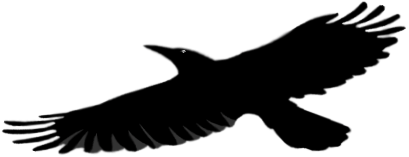 cropped-Raven-Logo2.png – RAVEN Hybrids
